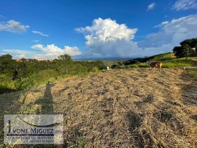 Terreno / Lote para Venda em Paty do Alferes/RJ Campo Verde