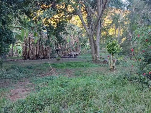Terreno / Lote para Venda em Paty do Alferes/RJ Maravilha