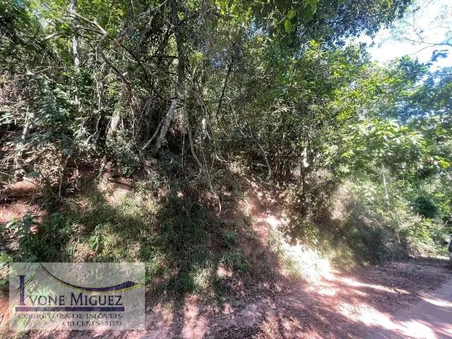 Terreno / Lote para Venda em Paty do Alferes/RJ Palmares