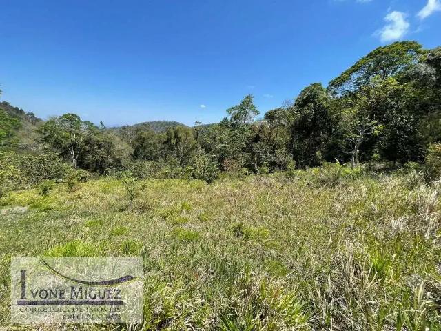 Terreno / Lote para Venda em Paty do Alferes/RJ Palmares