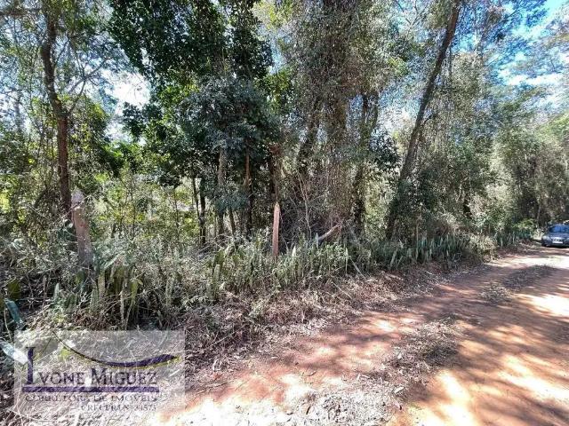 Terreno / Lote para Venda em Paty do Alferes/RJ Palmares