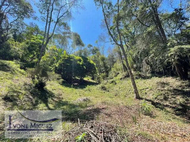 Terreno / Lote para Venda em Paty do Alferes/RJ Palmares