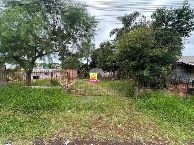 Terreno / Lote para Venda em Pato Branco/PR Morumbi