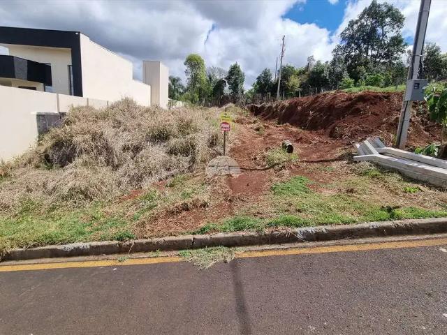Terreno / Lote para Venda em Pato Branco/PR Aeroporto