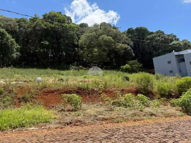 Terreno / Lote para Venda em Pato Branco/PR Aeroporto