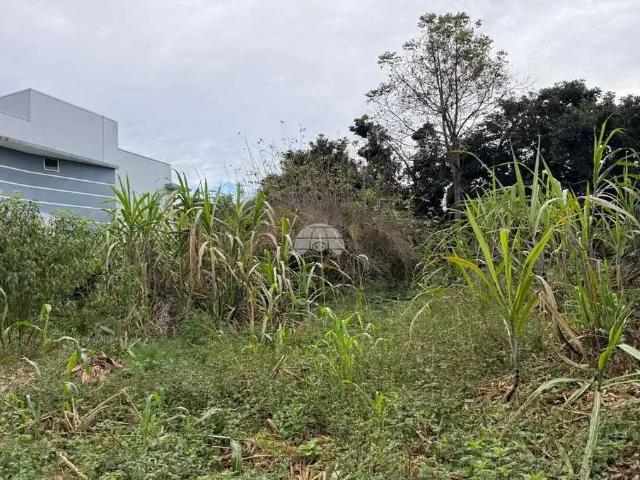 Terreno / Lote para Venda em Pato Branco/PR Aeroporto