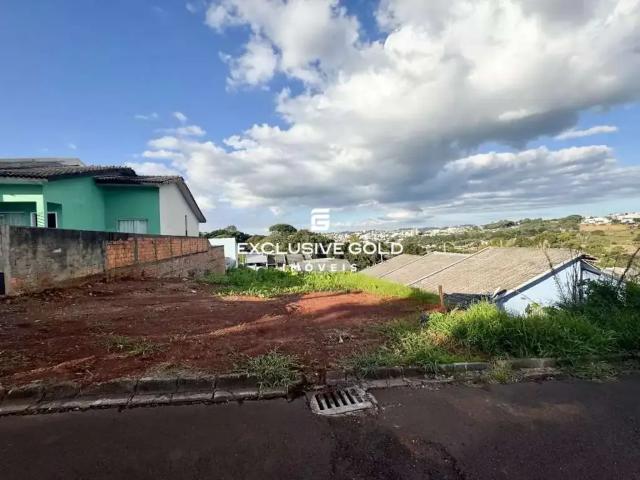 Terreno / Lote para Venda em Pato Branco/PR Aeroporto