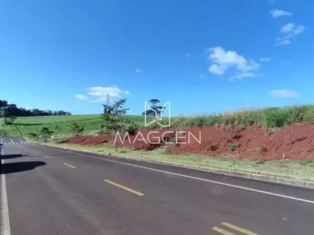 Terreno / Lote para Venda em Pato Branco/PR Cadorin