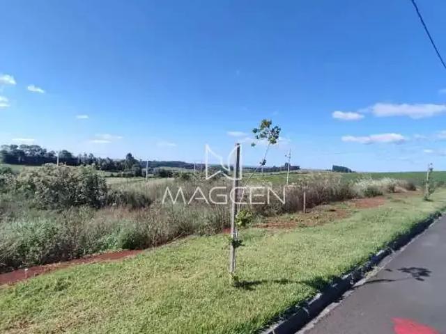 Terreno / Lote para Venda em Pato Branco/PR Cadorin