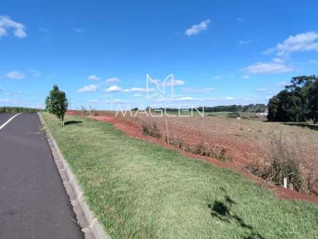Terreno / Lote para Venda em Pato Branco/PR Cadorin