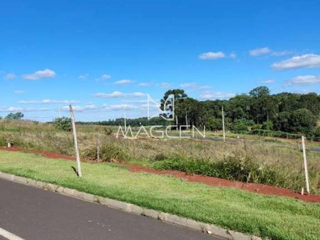 Terreno / Lote para Venda em Pato Branco/PR Cadorin