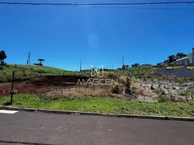 Terreno / Lote para Venda em Pato Branco/PR Cadorin