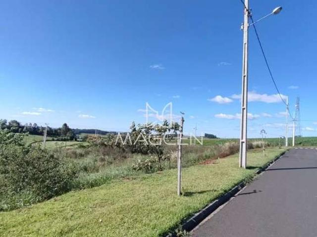 Terreno / Lote para Venda em Pato Branco/PR Cadorin