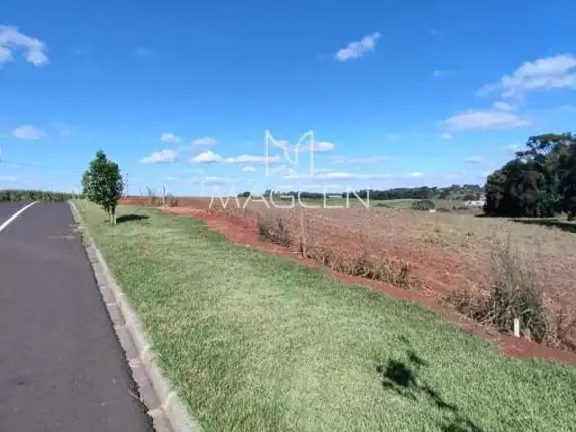 Terreno / Lote para Venda em Pato Branco/PR Cadorin