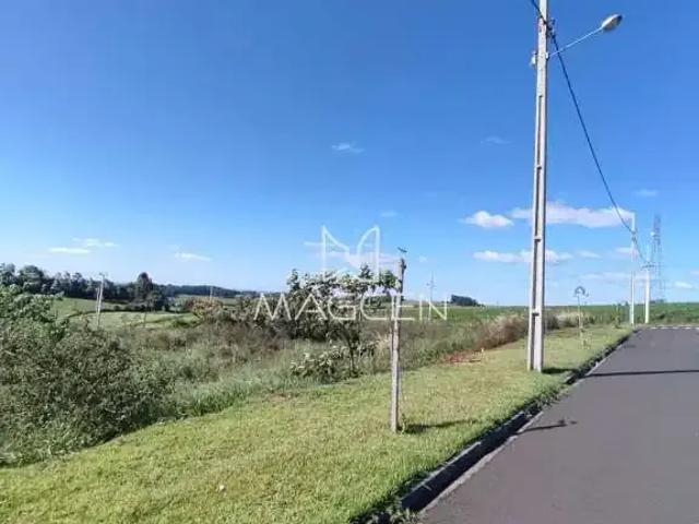 Terreno / Lote para Venda em Pato Branco/PR Cadorin