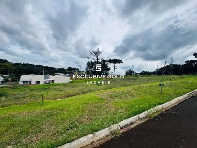 Terreno / Lote para Venda em Pato Branco/PR Cadorin