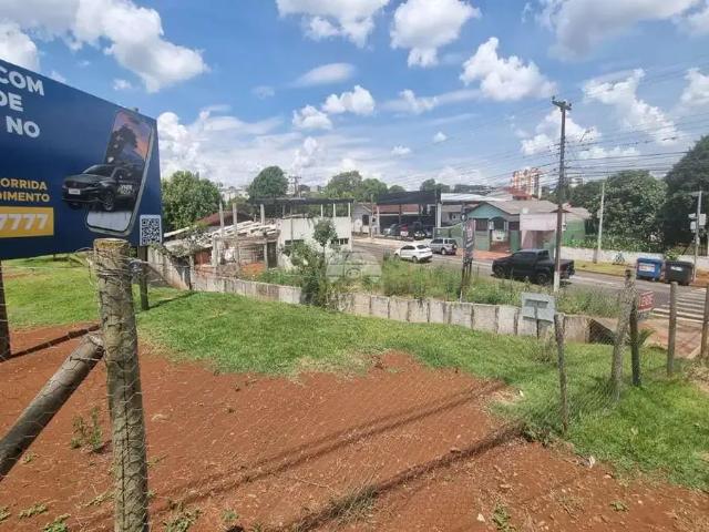 Terreno / Lote para Venda em Pato Branco/PR Centro