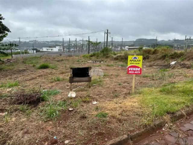 Terreno / Lote para Venda em Pato Branco/PR Cristo Rei