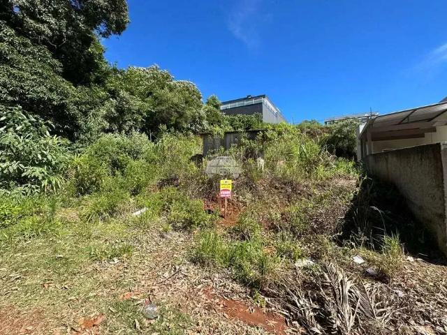 Terreno / Lote para Venda em Pato Branco/PR Fraron