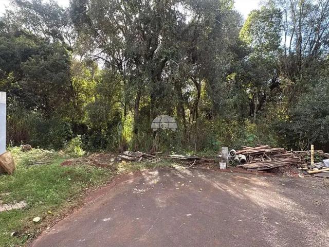 Terreno / Lote para Venda em Pato Branco/PR Fraron