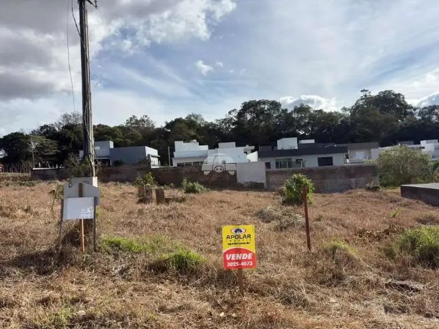 Terreno / Lote para Venda em Pato Branco/PR Fraron