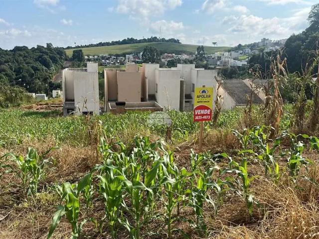 Terreno / Lote para Venda em Pato Branco/PR Fraron