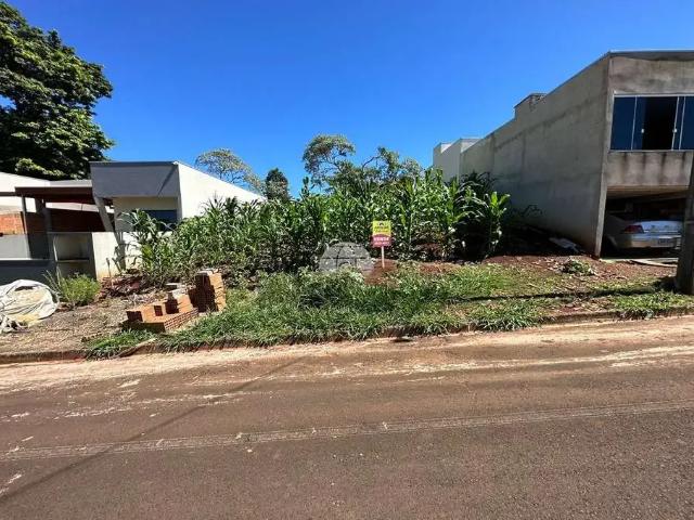 Terreno / Lote para Venda em Pato Branco/PR Fraron