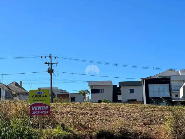 Terreno / Lote para Venda em Pato Branco/PR Fraron