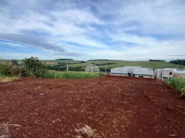 Terreno / Lote para Venda em Pato Branco/PR Fraron