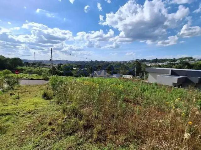 Terreno / Lote para Venda em Pato Branco/PR Industrial
