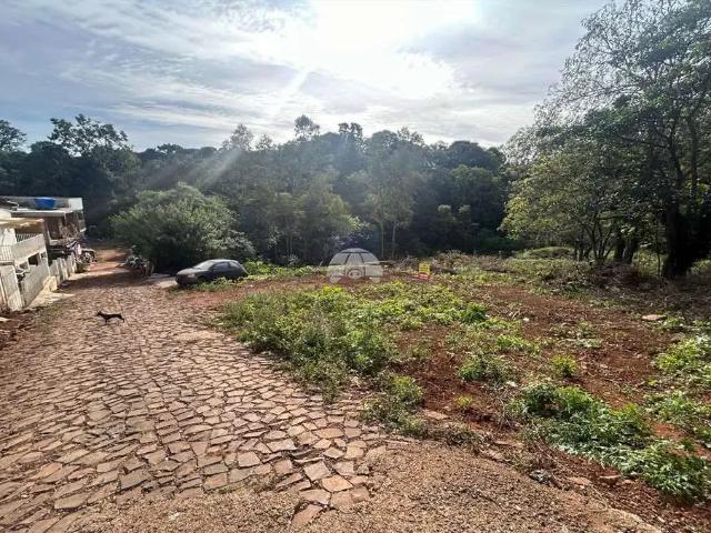 Terreno / Lote para Venda em Pato Branco/PR Industrial