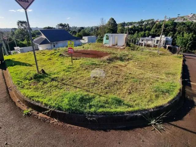 Terreno / Lote para Venda em Pato Branco/PR Industrial