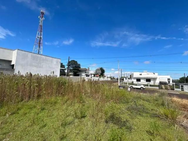 Terreno / Lote para Venda em Pato Branco/PR Industrial