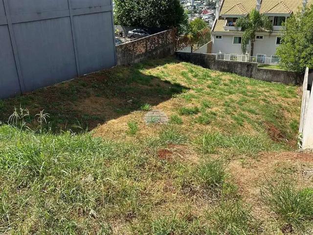 Terreno / Lote para Venda em Pato Branco/PR Jardim das Américas