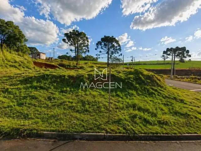 Terreno / Lote para Venda em Pato Branco/PR Jardim Floresta