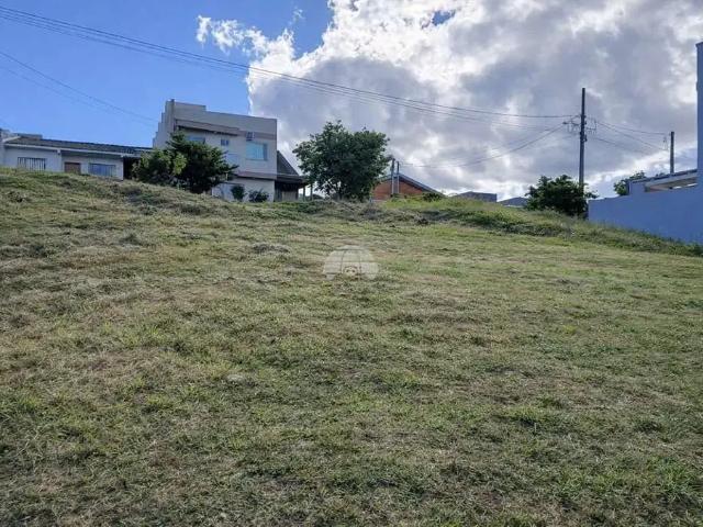 Terreno / Lote para Venda em Pato Branco/PR Jardim Floresta