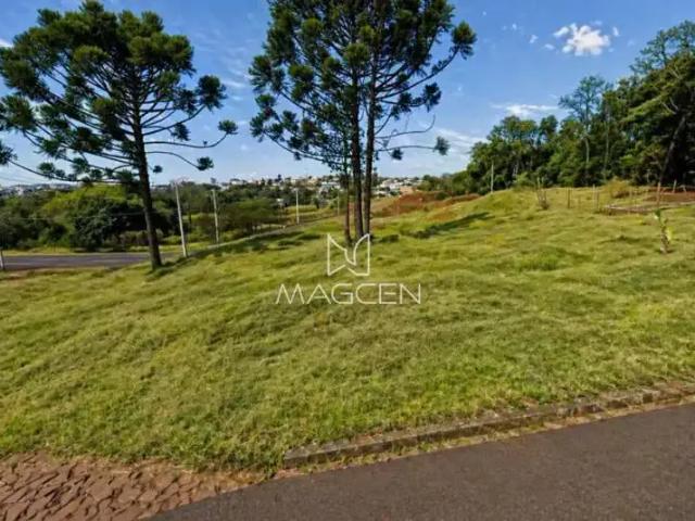 Terreno / Lote para Venda em Pato Branco/PR Jardim Floresta