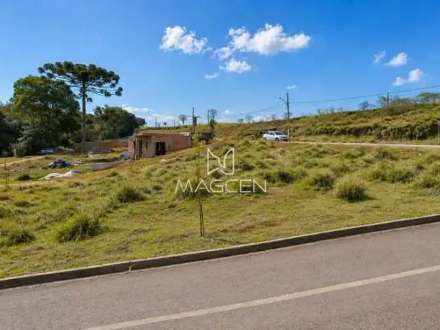 Terreno / Lote para Venda em Pato Branco/PR Jardim Floresta