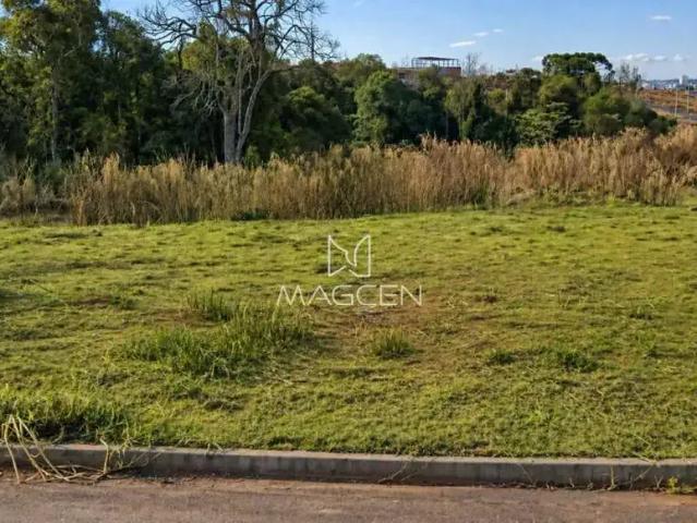 Terreno / Lote para Venda em Pato Branco/PR Jardim Floresta