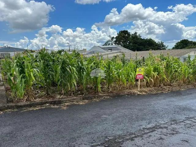 Terreno / Lote para Venda em Pato Branco/PR Jardim Primavera