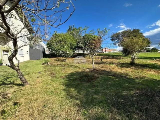 Terreno / Lote para Venda em Pato Branco/PR Jardim Primavera