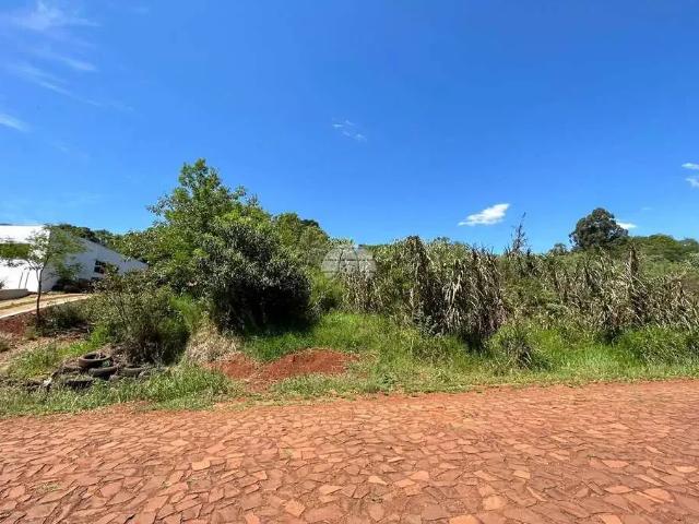 Terreno / Lote para Venda em Pato Branco/PR Pagnoncelli