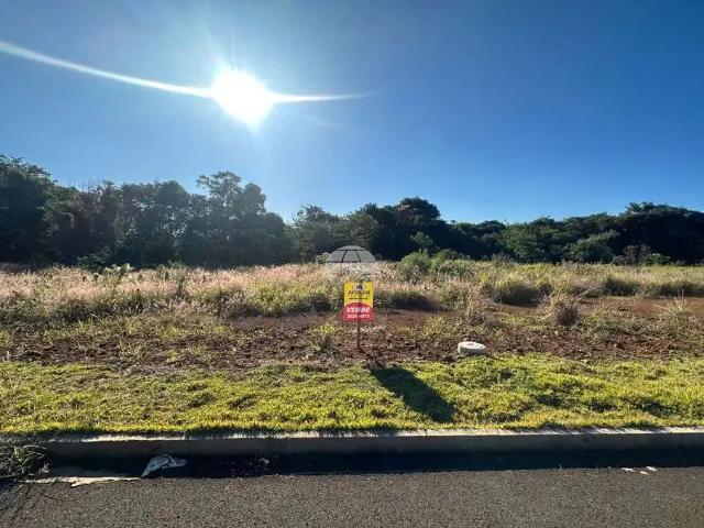 Terreno / Lote para Venda em Pato Branco/PR Pagnoncelli