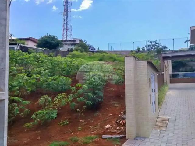Terreno / Lote para Venda em Pato Branco/PR Pinheiros