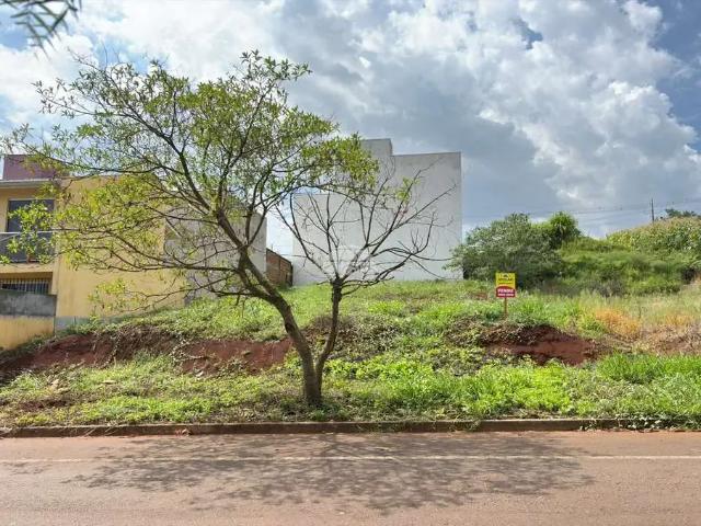 Terreno / Lote para Venda em Pato Branco/PR São Vicente