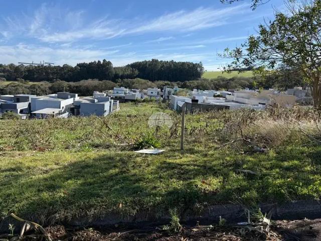 Terreno / Lote para Venda em Pato Branco/PR São Francisco