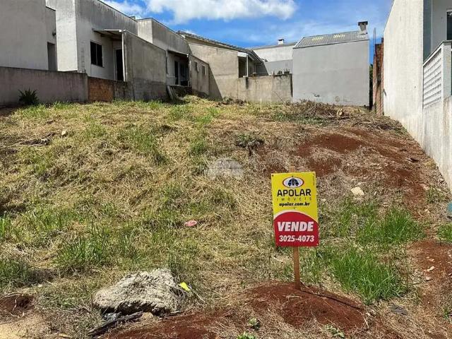 Terreno / Lote para Venda em Pato Branco/PR São Francisco
