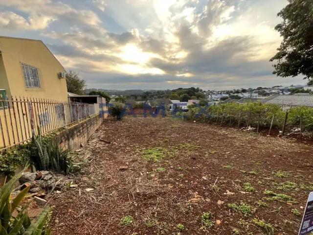 Terreno / Lote para Venda em Pato Branco/PR São Francisco