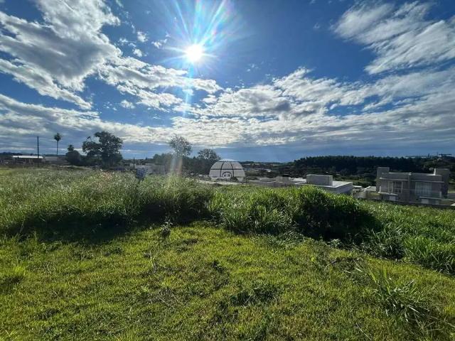 Terreno / Lote para Venda em Pato Branco/PR São Francisco