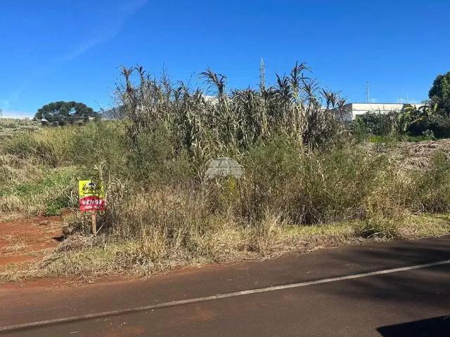 Terreno / Lote para Venda em Pato Branco/PR São Francisco